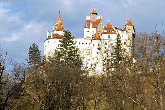 Cultural Day Trip to Transylvania including Peles Castle & Bran Dracula's Castle - Key Points