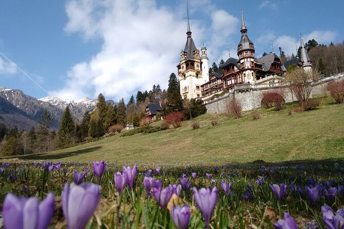 Cultural Day Trip to Transylvania including Peles Castle & Bran Dracula's Castle - Who Will Love This Tour?