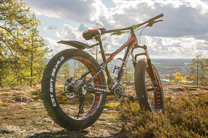 Cultural E-fatbike tour around Rovaniemi & Santa Claus Village - Final Thoughts