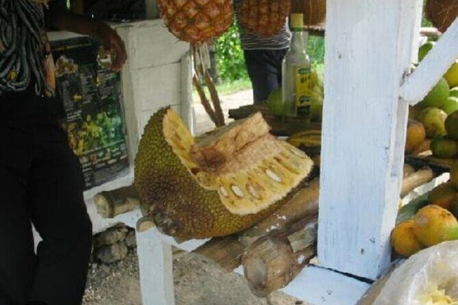 Cultural Food Tour & Seven Mile Beach At Negrils Margaritaville - The Itinerary in Detail: What You Can Expect