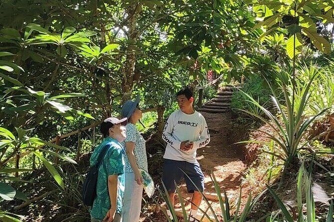 Cultural Immersion in Cacao and Coffee in the Southern Sierra of Oaxaca - Who Will Love This Tour?