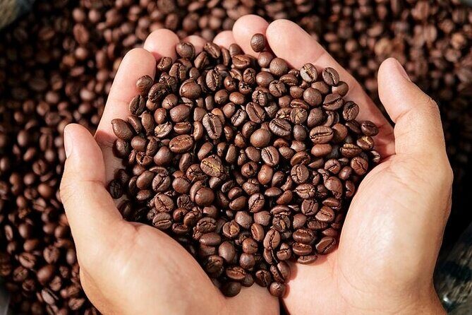 Cultural Immersion in Cacao and Coffee in the Southern Sierra of Oaxaca - FAQ