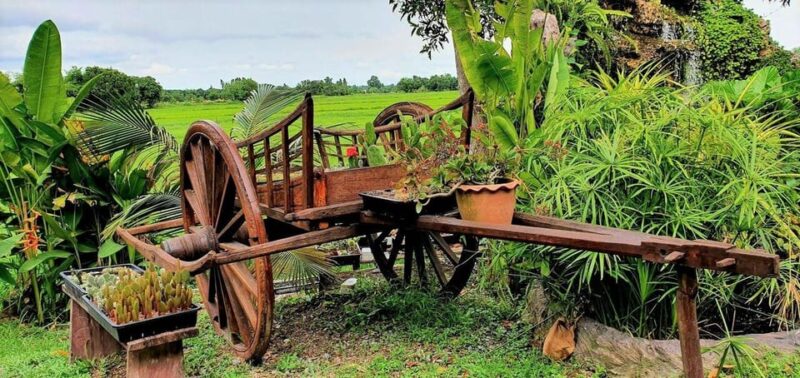 Cultural immersion: Thai cooking, rice farming, eco printing - Visiting Nakorn Nayok Market
