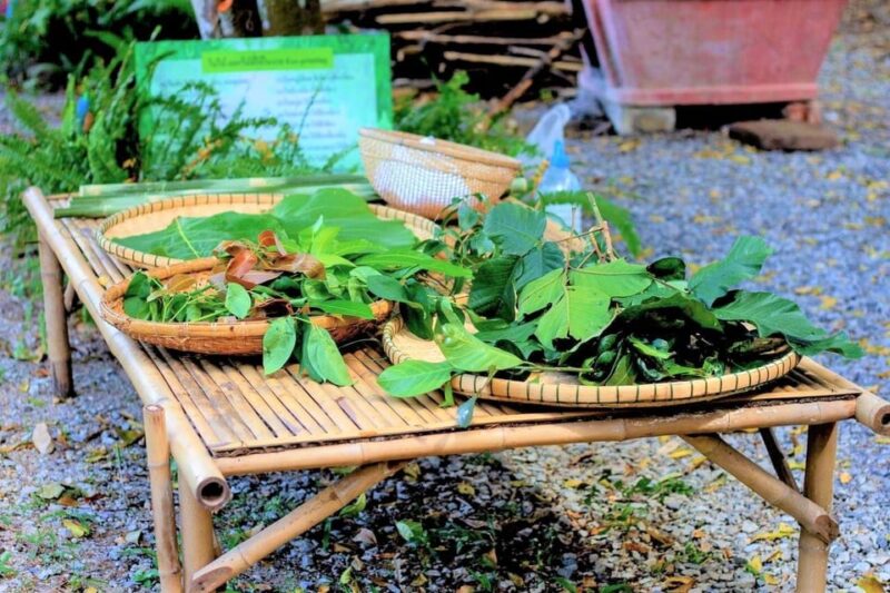 Cultural immersion: Thai cooking, rice farming, eco printing - Eco-printing on fabric: a craft with a purpose