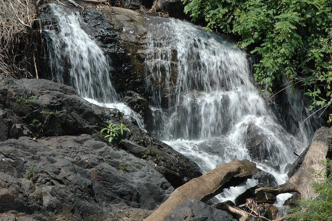 Cultural & Nature Tour: KMT Village, Pha Sua Waterfall, Pang Oung - Discover the Authentic Flavors of Northern Thailand with the Cultural & Nature Tour