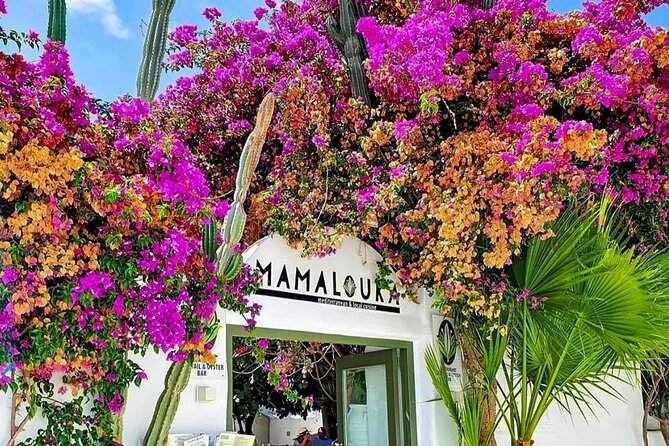 Cultural Odyssey Dance Feast in Mykonos Town - What to Expect From the Folklore Show