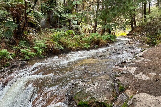 Cultural Rotorua Private Tour Tauranga Port. Whakarewarewa Ticket - Frequently Asked Questions