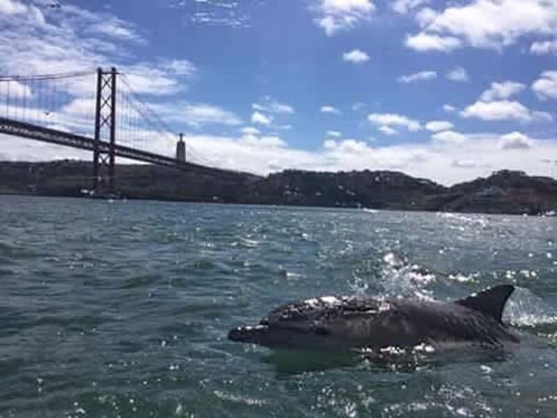 Cultural Sailing Tour in Lisbon - Who Will Love This Tour?