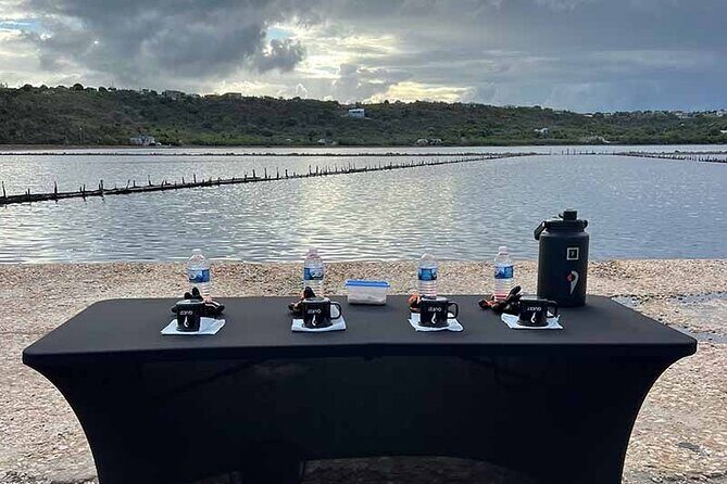 Cultural Salt Picking Experience in Anguilla - FAQs