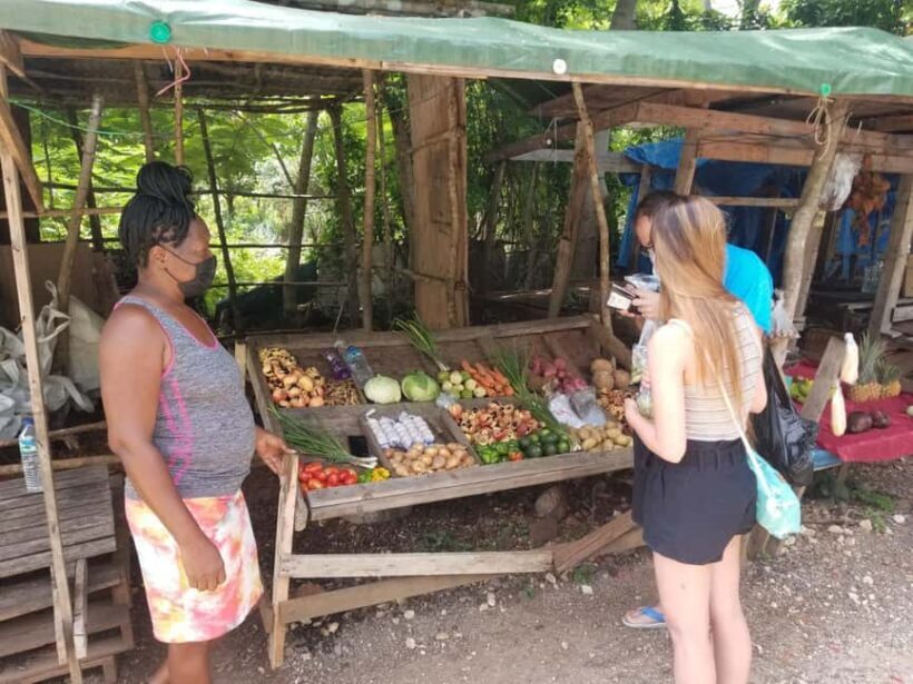 Cultural tour of Montego Bay & Jamaica Highlight and shop. - Final Thoughts