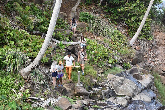 Cultural Tours Of Kalinago Territory of Dominica with Past Chief - Why This Tour Is Worth Considering
