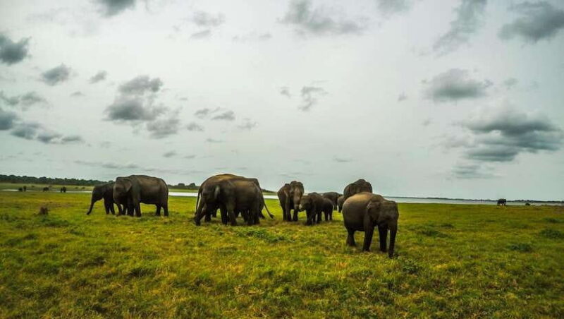 Cultural Triangle 5 Days 4 Nights in Sri Lanka - FAQ