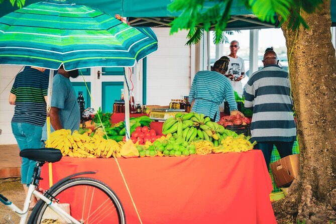 Cultural Walking Tour in Marigot, Saint-Martin - Exploring Marigot: A Detailed Review