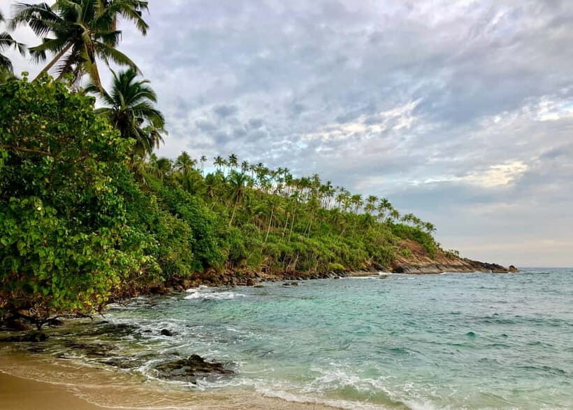 Culture and Wildlife 4 Days Private Tour with Beach Holiday - Key Points