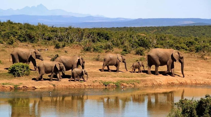 Culture and Wildlife 4 Days Private Tour with Beach Holiday - Practical Tips for Travelers