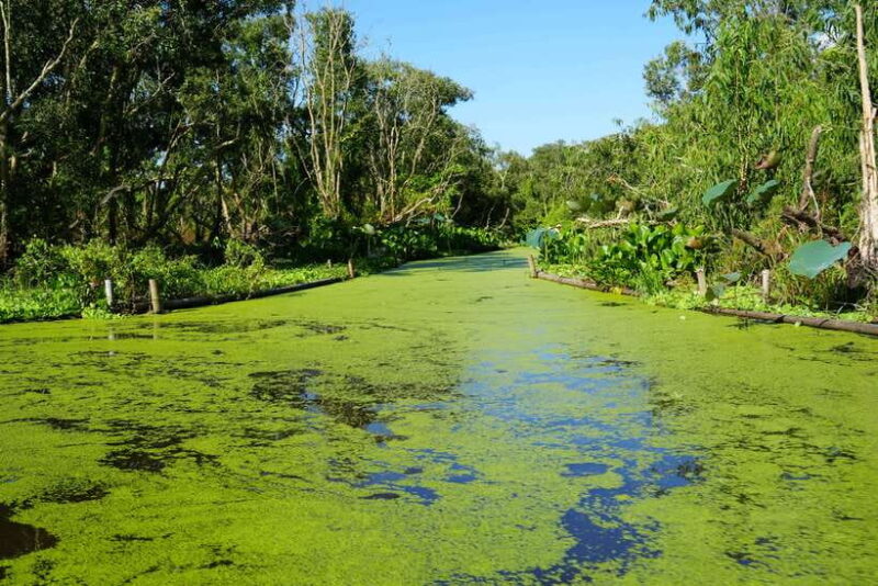 Culture And Wildlife Premium Discovery | Chau Doc  Tra Su - Who Should Consider This Tour?