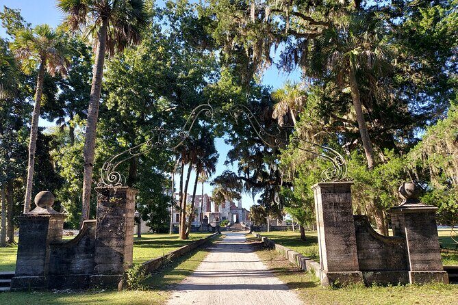Cumberland Island Walking Tour - A Closer Look at the Cumberland Island Experience
