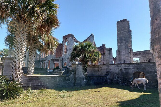 Cumberland Island Walking Tour - FAQ