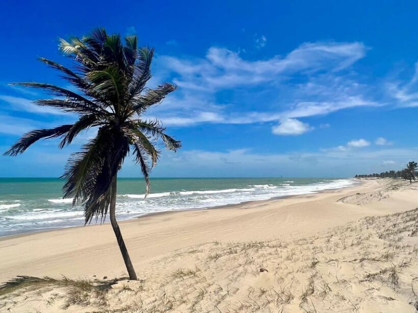 Cumbuco in a Day: Incredible Discoveries - What the Tour Includes & What to Budget For