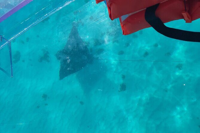 Curaçao ClearBoat Snorkel Tour  Daaibooi, Porto Marie & Cas Abao - The Sum Up