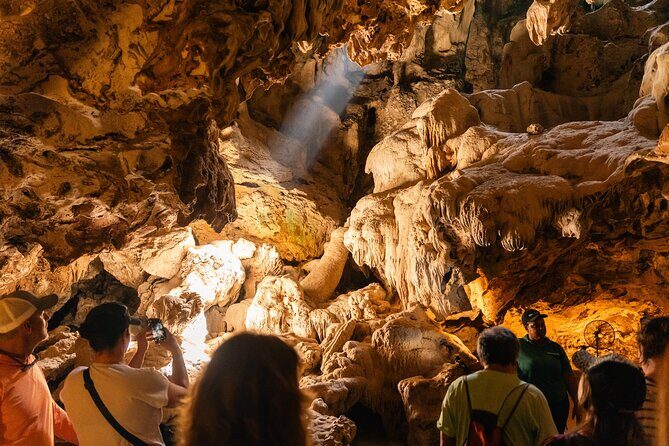 Curaçao Full-Day Tour: Hato Caves, Turtles, Kenepa & Flamingos - An In-Depth Look at the Curaçao Full-Day Tour