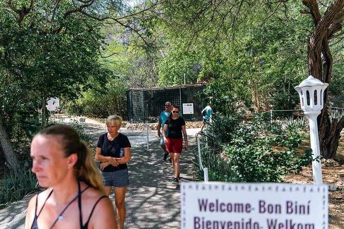 Curaçao Full-Day Tour: Hato Caves, Turtles, Kenepa & Flamingos - The Sum Up