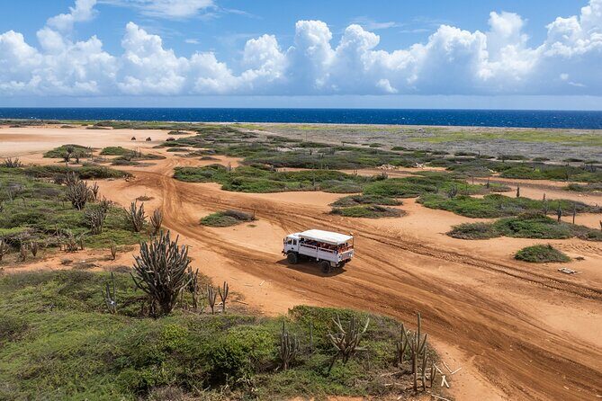 Curacao Jeep Safari Tour - What Travelers Are Saying (Based on Reviews)