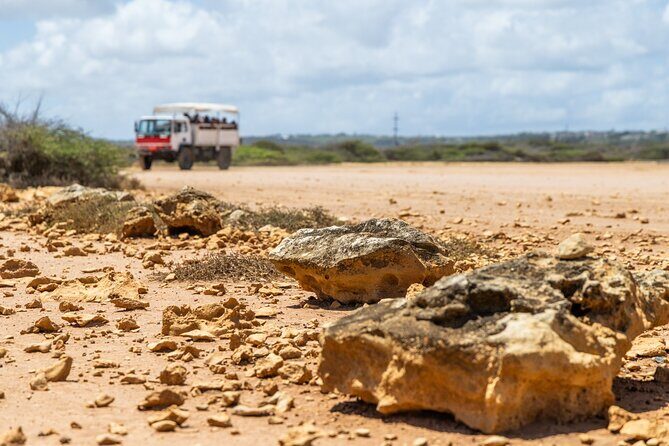 Curacao Jeep Safari Tour - Why This Tour Offers Good Value