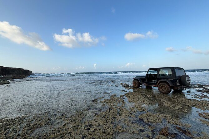 Curacao Private Jeep Off-Road Tour to Swimming with Sea Turtles - Who Should Book This Tour?