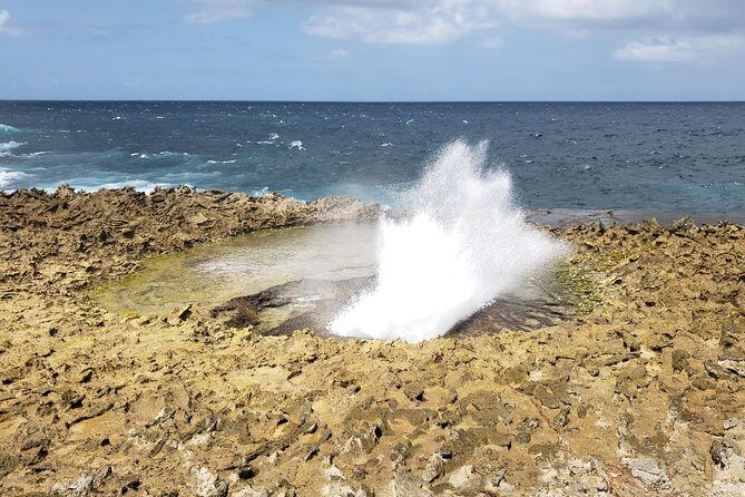 Curacao Private Tour and Activity Experience (4 up to 13 people) - An Authentic and Flexible Way to Explore Curacao