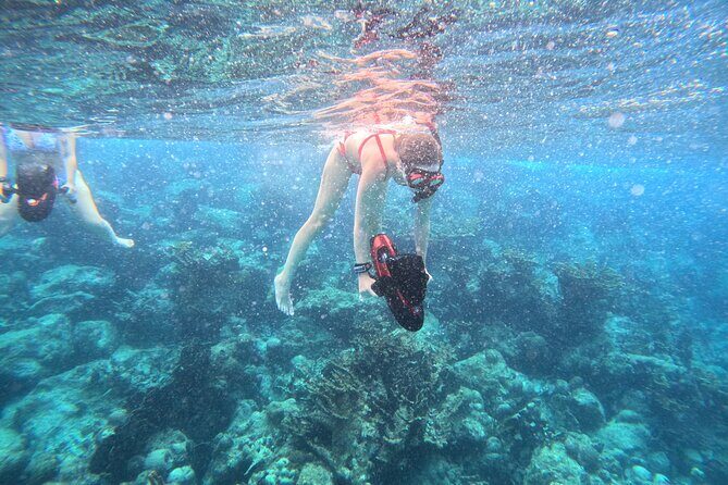 Curacao Reef Sublue Scooters Experience - Who Will Love This Tour?