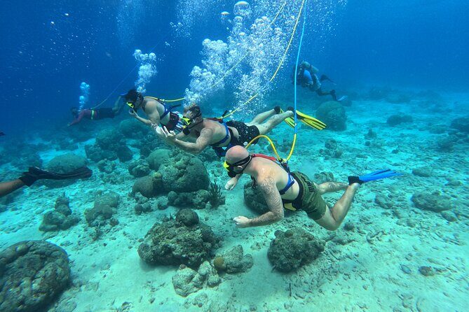 Curacao Sea Trek Snuba Combo Walk Tour and Dive the Ocean - Authentic Voices: Real Traveler Insights