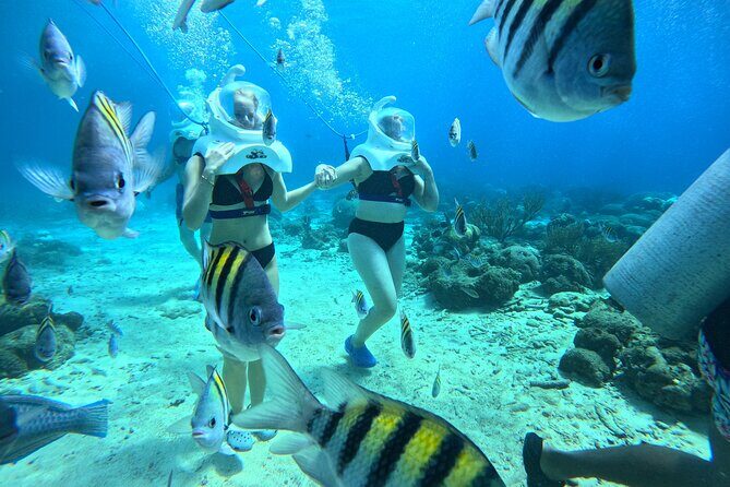 Curacao Sea Trek Snuba Combo Walk Tour and Dive the Ocean - Who Should Book This Tour?