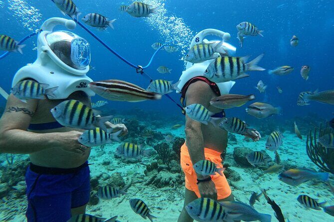 Curacao Sea Trek Snuba Combo Walk Tour and Dive the Ocean - The Sum Up