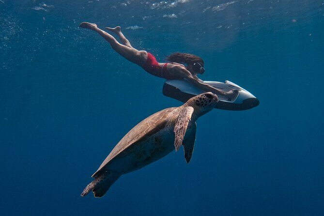 Curaçao Seabob in Playa Piskado Adventure with Sea Turtles - Discovering Playa Piskado