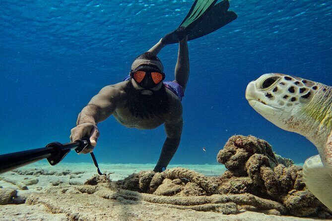 Curaçao Seabob in Playa Piskado Adventure with Sea Turtles - The Experience in Action