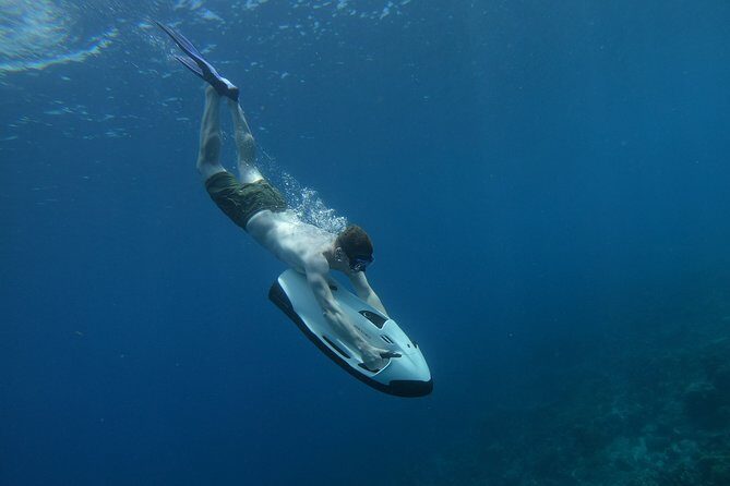 Curaçao Seabob Tour (by Bearded Butlers Curaçao) - Experienced Guides