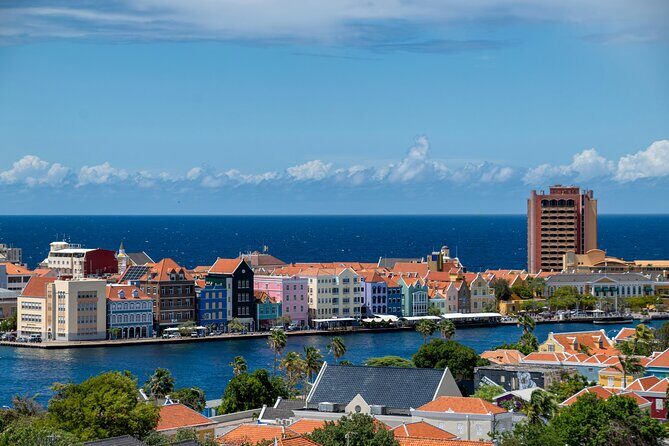 Curacao Willemstad Distilleries and Brewery Tour - Who Should Take This Tour?