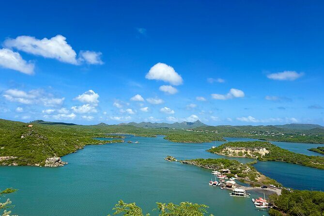 Curacao's Beaches & Blowholes: Exclusive 4-Hour Private Tour - Who Should Consider This Tour?