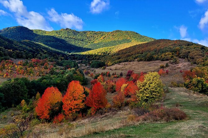 Curly Tour - Day trip from Cluj :) - The Sum Up