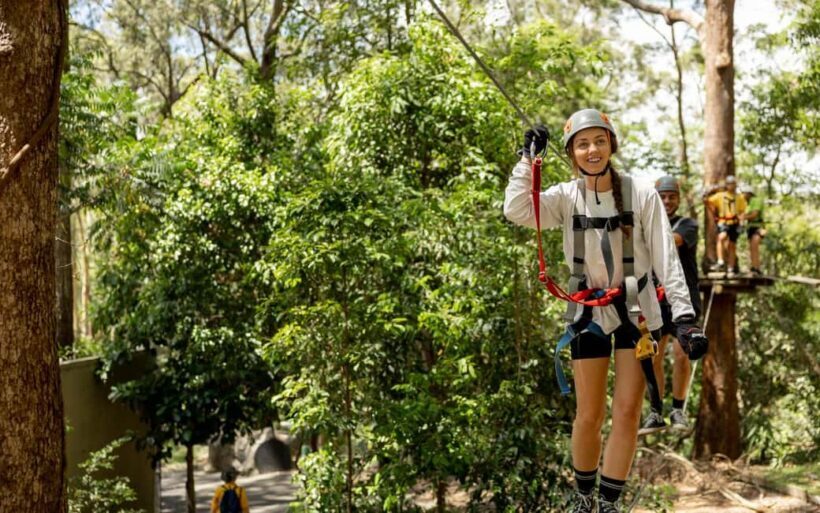 Currumbin: Treetop Challenge Adventure Park - How It Compares to Other Experiences