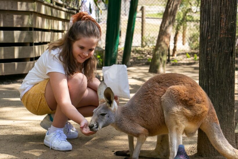 Currumbin Wildlife Sanctuary Entry Ticket - The Sum Up