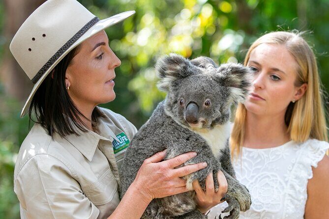 Currumbin Wildlife Sanctuary General Entry Ticket - Practical Tips for Your Visit