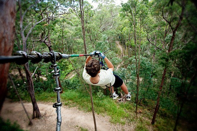 Currumbin Wildlife Sanctuary General Entry Ticket - FAQ: Your Practical Questions Answered