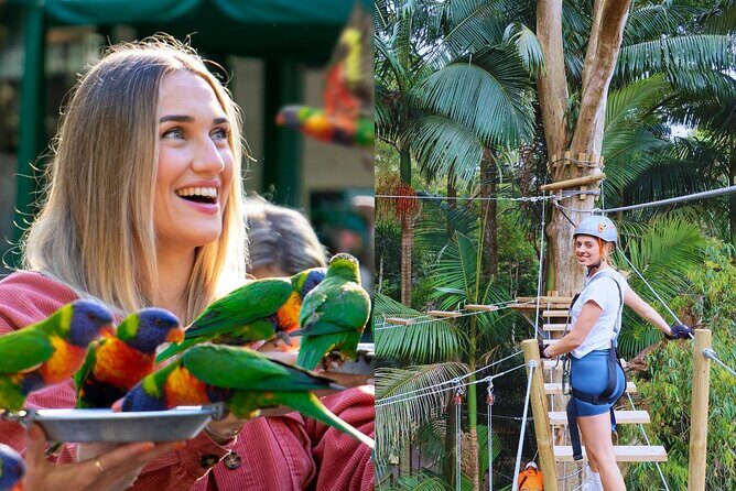 Currumbin Wildlife Sanctuary Pass + The Treetop Challenge - An In-Depth Look at the Experience