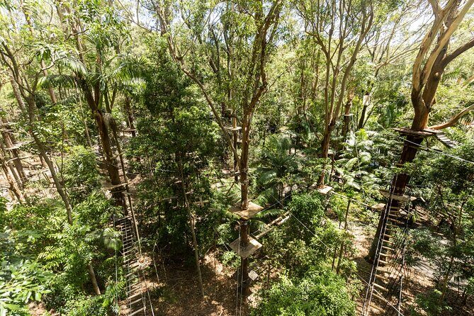 Currumbin Wildlife Sanctuary Pass + The Treetop Challenge - Who Will Love This Experience?