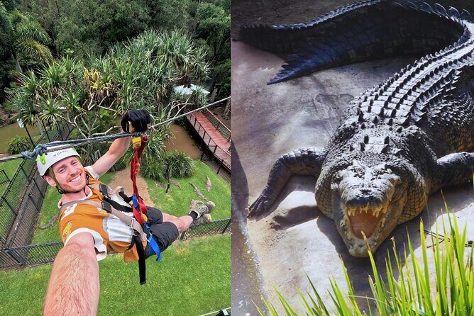 Currumbin Wildlife Sanctuary Pass + The Treetop Challenge - FAQ