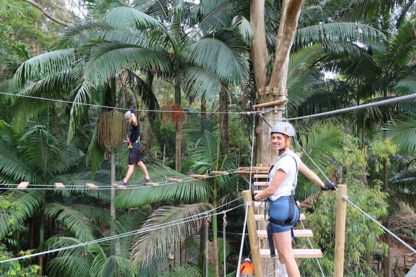 Currumbin Wildlife Sanctuary & TreeTop Challenge Combo - The Wildlife Sanctuary Experience