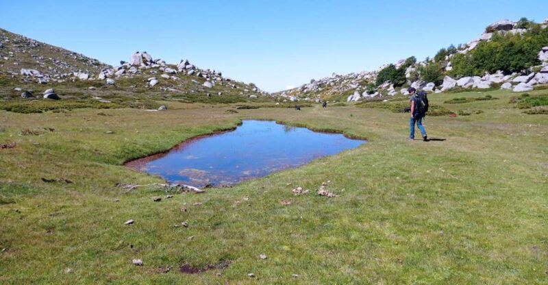Cuscionu's plateau, 1000 waterholes'grass : pozzines - The Sum Up: Who Will Appreciate This Experience?