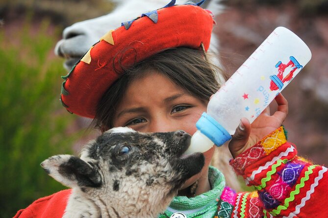 Cusco Airport Pickup and Private Transfer - Booking Options and Pricing